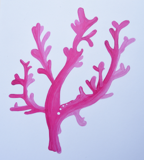 Fuchsia Coral – Wendy Perry Designs